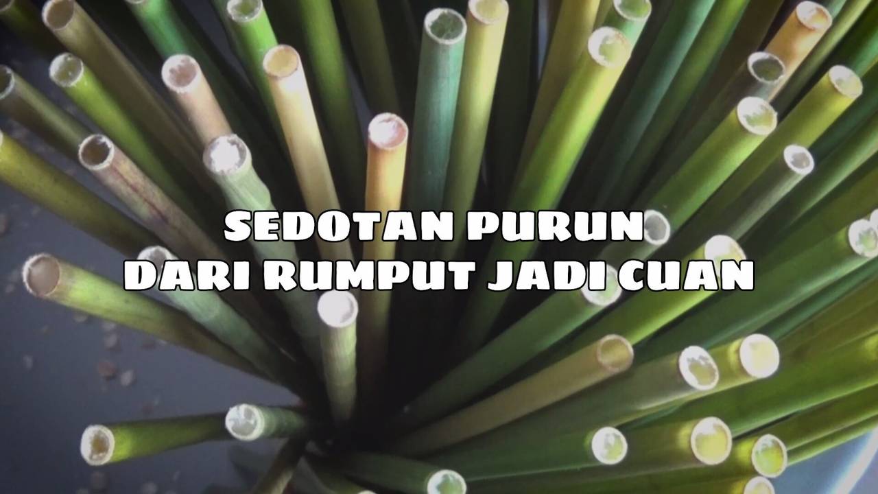 BERANI BERUBAH: Sedotan Purun dari Rumput Jadi Cuan - Berani Berubah