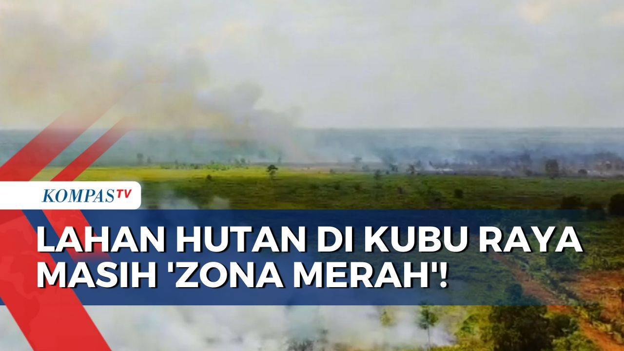 Zona Merah, Puluhan Titik Api Kebakaran Lahan Hutan di Kubu Raya Masih ...