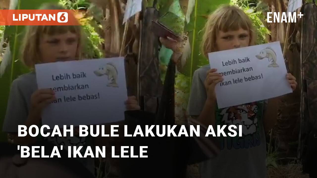 Viral Bocah Bule Lakukan Aksi 'Bela' Ikan Lele di Pemancingan ...