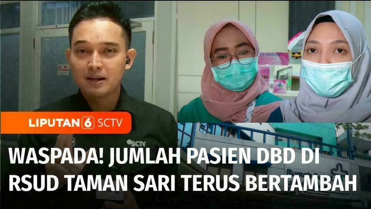 Waspada! Kasus DBD Melonjak Hingga 50% di RSUD Taman Sari, Jakarta ...