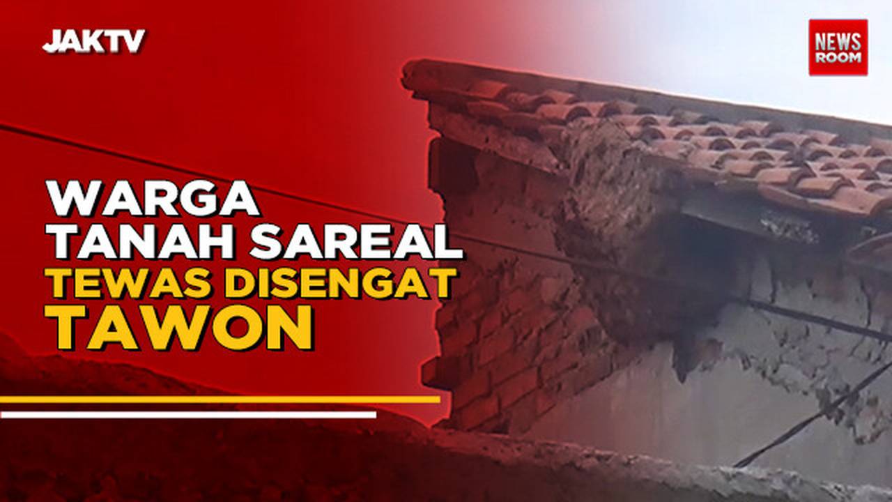 Warga Tanah Sareal Tewas Disengat Tawon - jaktv.official | Vidio