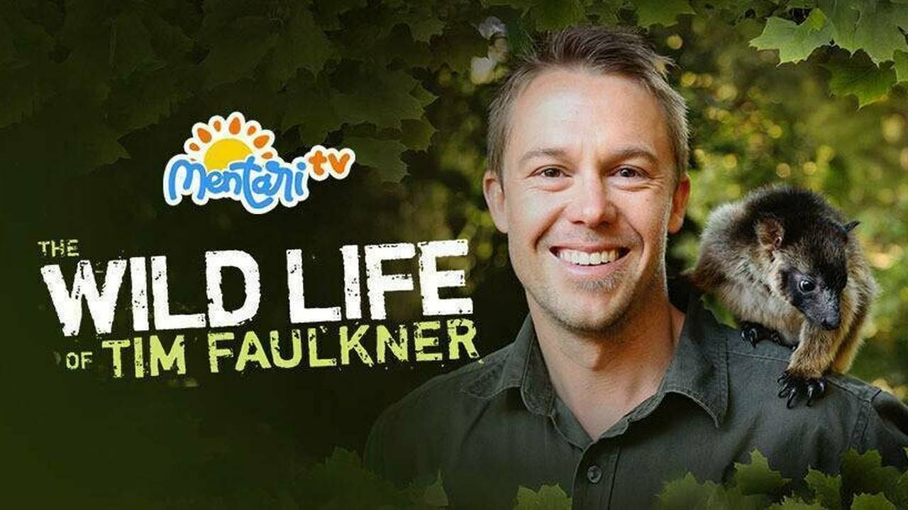 The Wild Life of Tim Faulkner - 30 Juni 2025 | Vidio