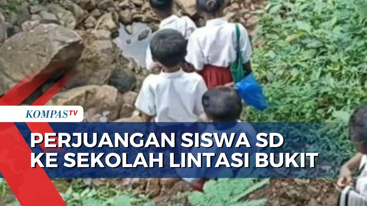 Viral! Perjuangan Siswa SD di Sikka ke Sekolah Lintasi Bukit dan Sungai ...