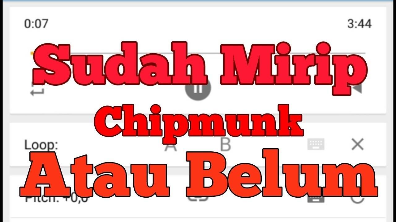 Cara Mengubah Original Music Menjadi Music Versi Chipmunk - Shorts