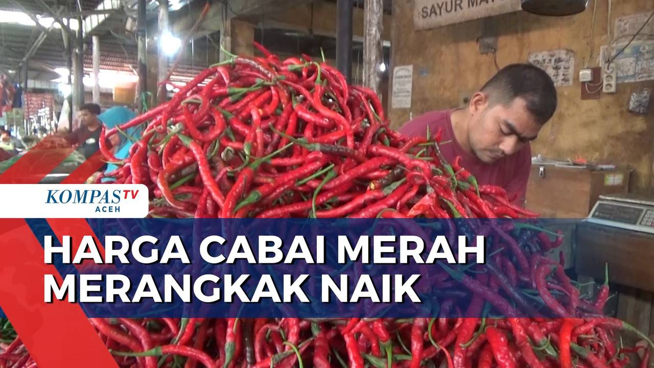 Pasokan Berkurang Harga Cabai Merah Merangkak Naik - Kompas TV | Vidio
