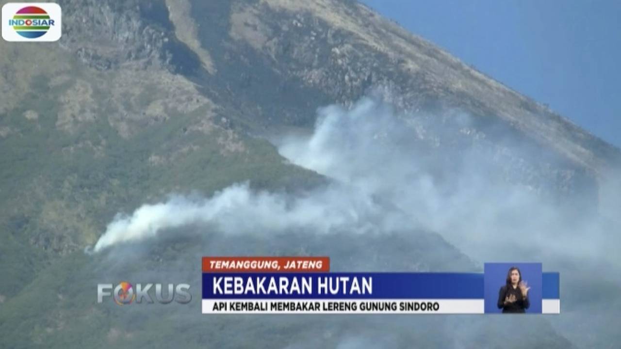 Kebakaran Hutan Di Gunung Sumbing Meluas Hingga Ke Kabupaten Magelang