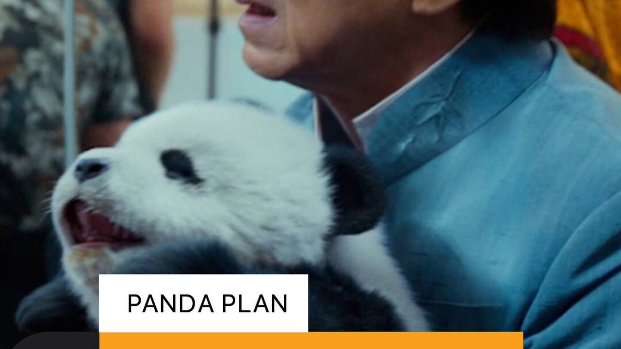 Panda Plan | Panda Plan | Vidio Mini Drama