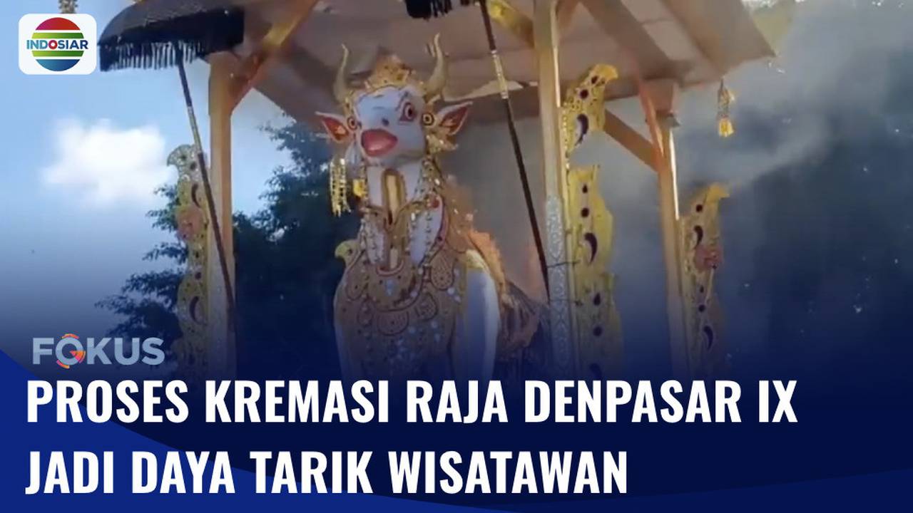 Proses Kremasi Raja Denpasar IX Berlangsung Meriah dan Jadi Daya Tarik Wisatawan | Fokus - INDOSIAR