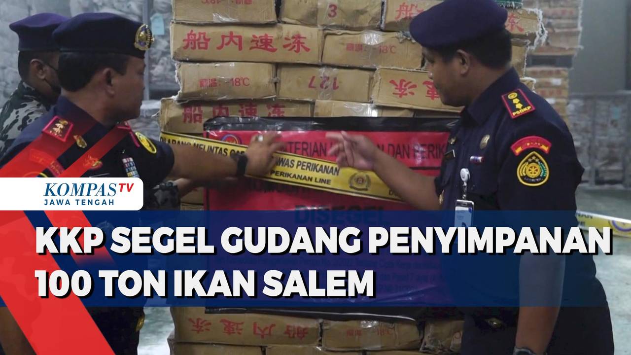 KKP Segel Gudang Penyimpanan 100 Ton Ikan Salem di Pati - Kompas TV | Vidio
