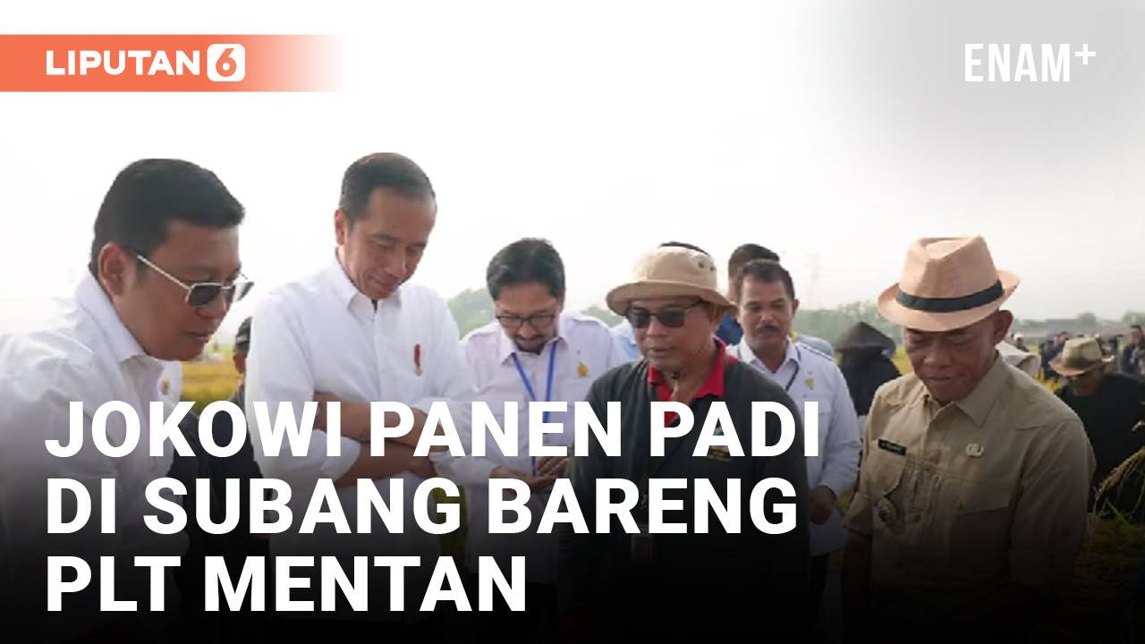 Gantikan Syahrul Yasin Limpo, Plt Mentan Temani Jokowi Panen Padi di ...
