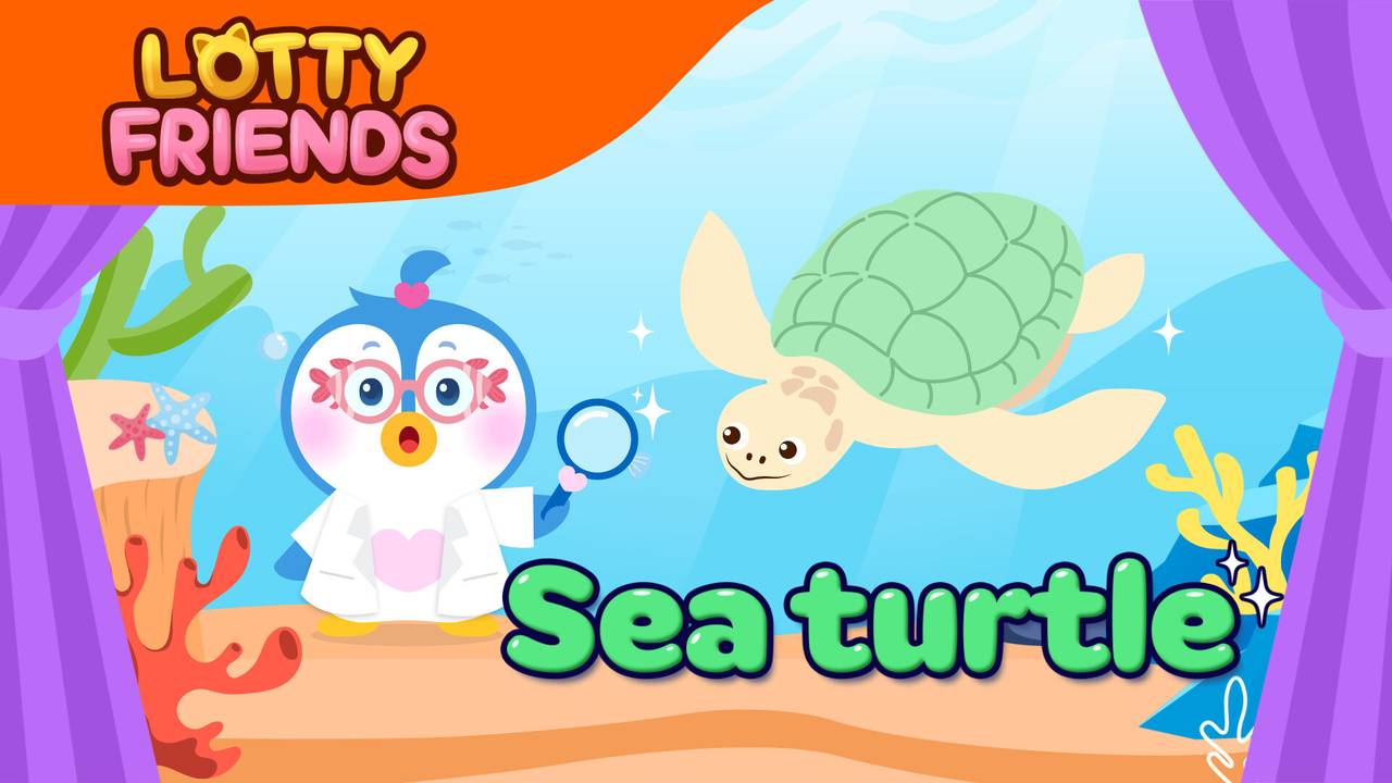 Lotty Friends - The Underwater Talent Show - The Sea turtle (2024) | Vidio