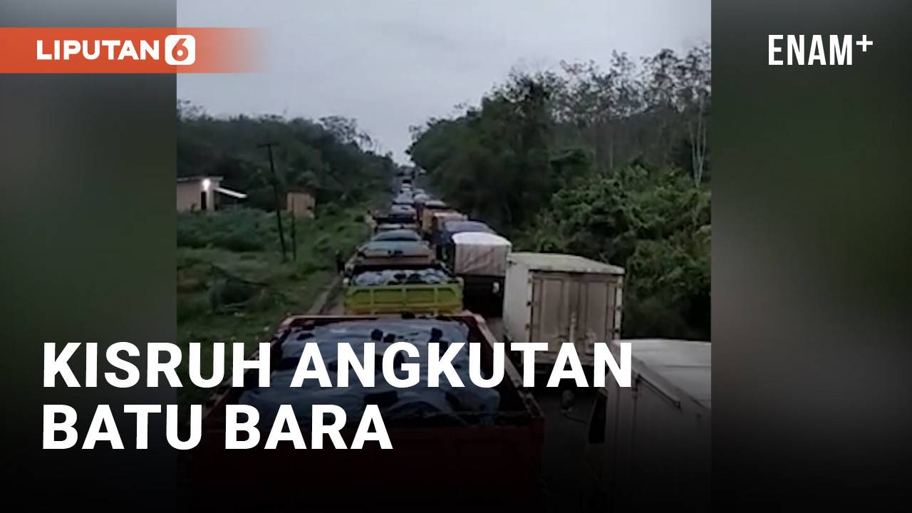 Truk Batu Bara Parkir di Bahu Jalan, Jambi Macet Total - liputan6.com | Vidio