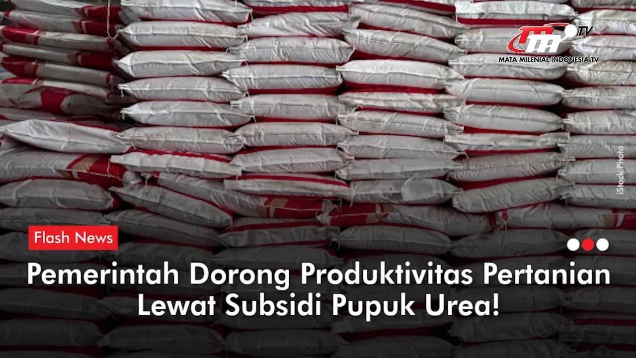 Subsidi Pupuk Urea dan NPK Jadi Kunci Produktivitas Petani | Flash News ...