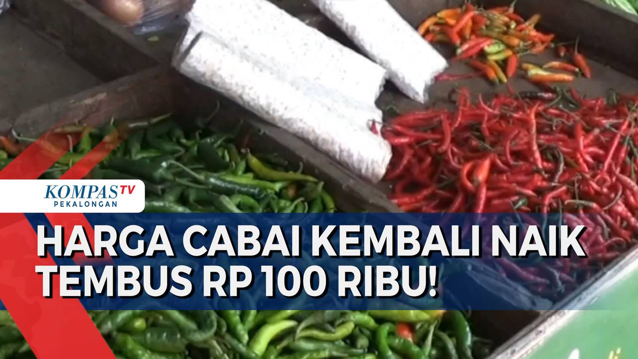 Cabai Kembali Menggila! Harga Tembus Rp100 Ribu Per Kg di Tegal! - Kompas TV