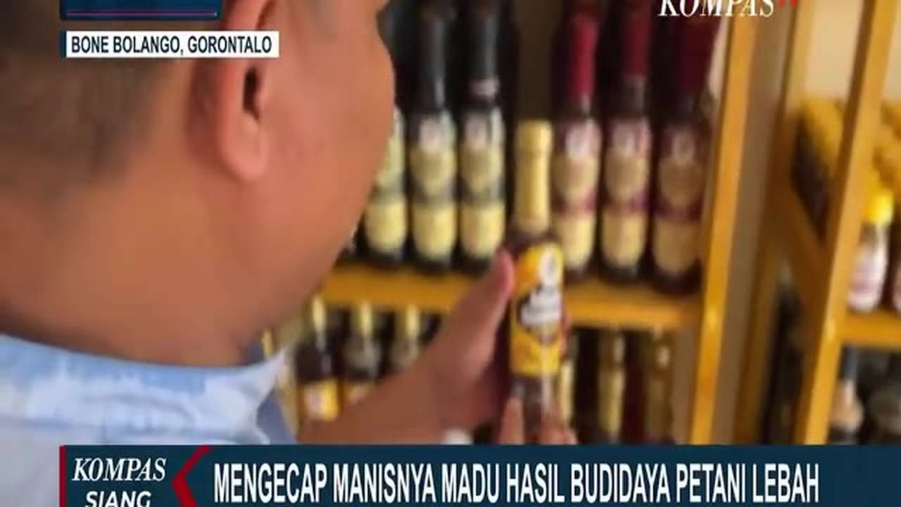 Kisah Pelaku UMKM Produk Madu Murni di Gorontalo Hingga Menembus Pasar ...