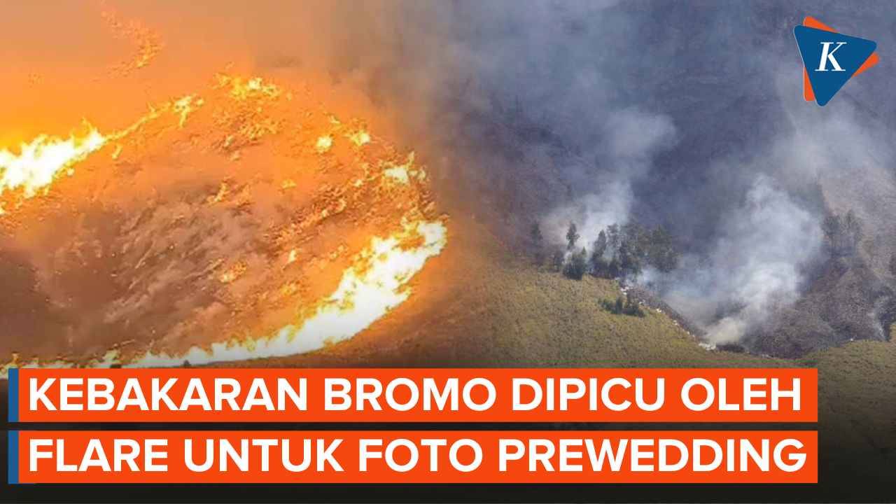 Kronologi Kebakaran Bukit Teletubbies Bromo Yang Bikin 50 Hektar Lahan
