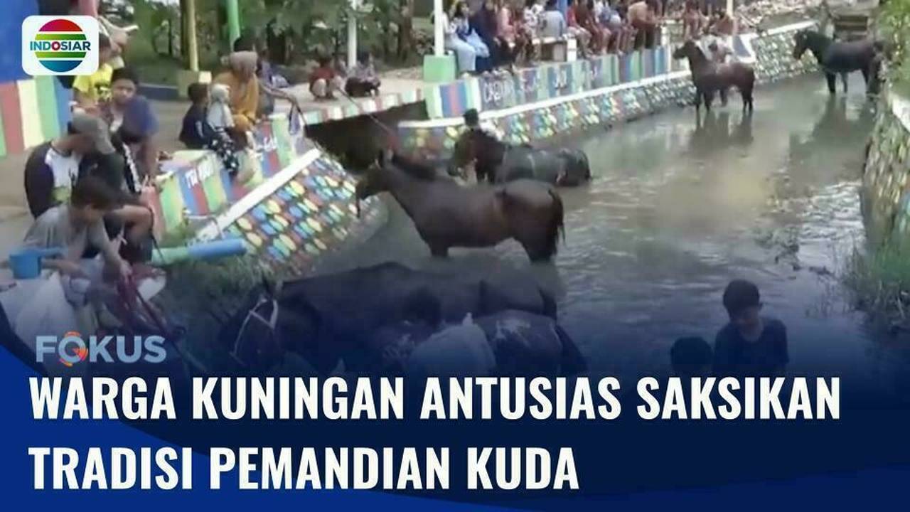 Tradisi Memandikan Kuda di Kuningan Disaksikan Langsung oleh Warga ...