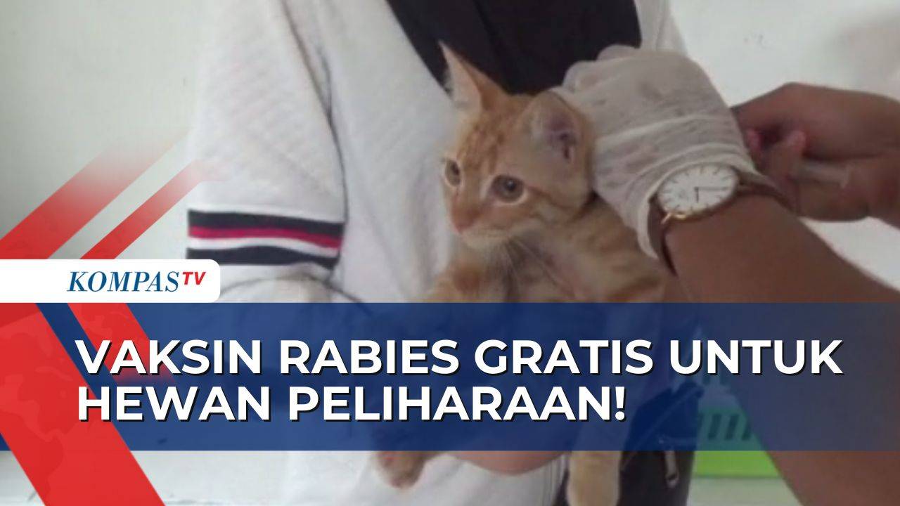 Hari Rabies Sedunia, Dinas Peternakan dan Kesehatan Hewan Bengkulu ...