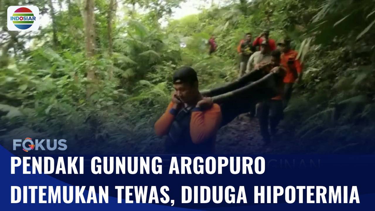Diduga Alami Hipotermia Pendaki Gunung Argopuro Meninggal Dunia