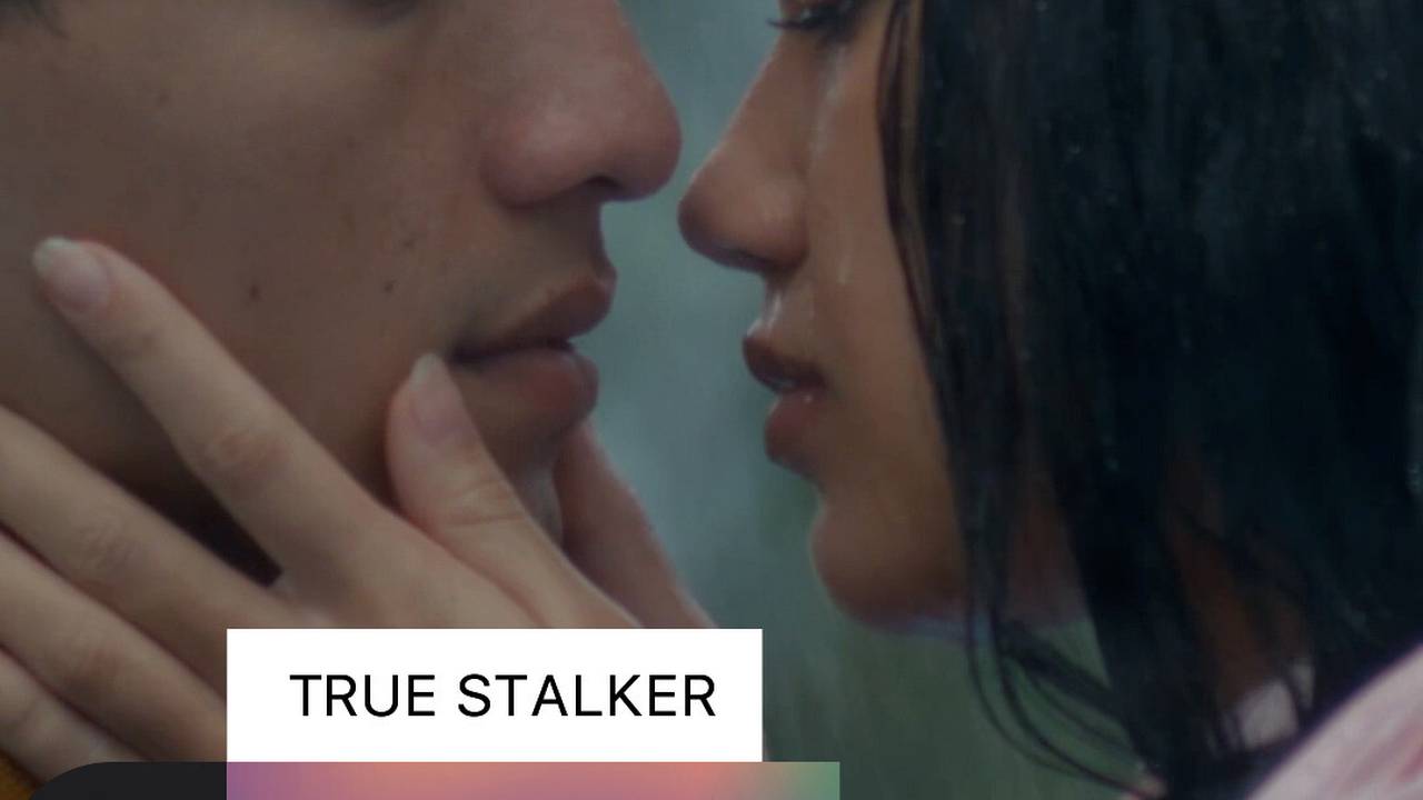 True Stalker - Shorts