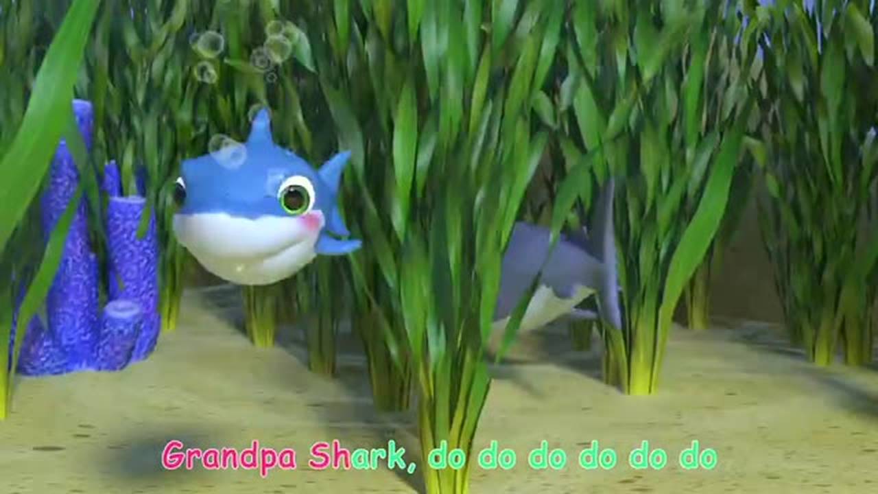 CoComelon - Baby Shark 2 (Hide and Seek Version) (2020) | Vidio