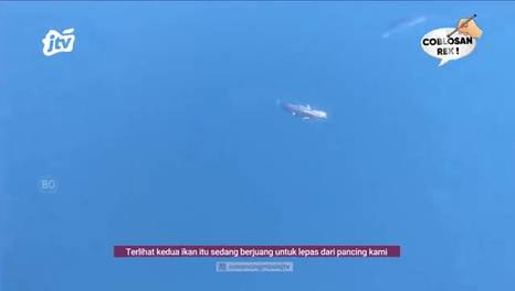 Streaming Channel JTV 2025 | Vidio