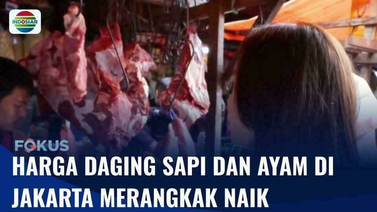 Harga Daging Sapi dan Ayam di Pasar Kebayoran Lama, Jakarta Selatan, Merangkak Naik | Fokus ...