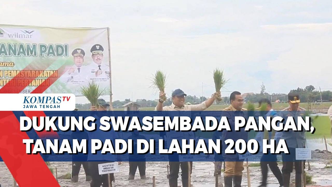 Dukung Swasembada Pangan, Tanam Padi di Lahan 200 Ha - Kompas TV | Vidio