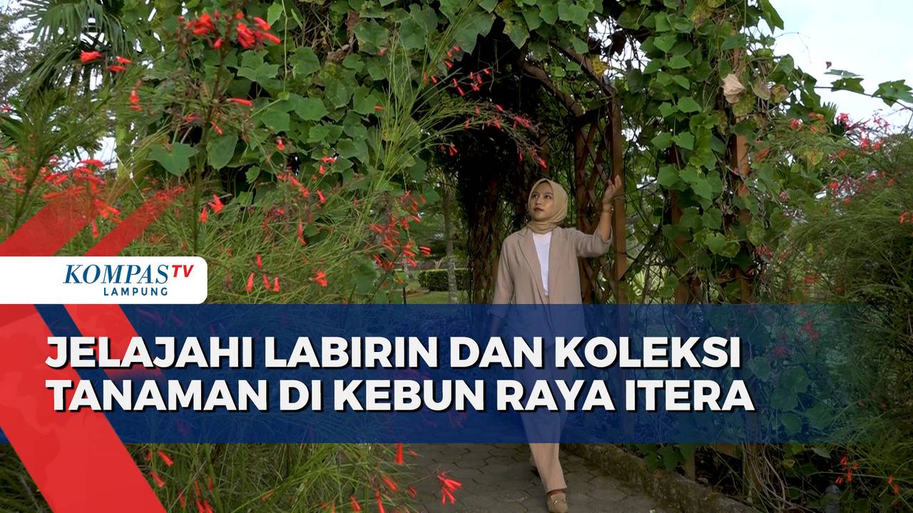 Telusuri Labirin dan Melihat Jenis Tanaman di Kebun Raya Itera - Kompas ...