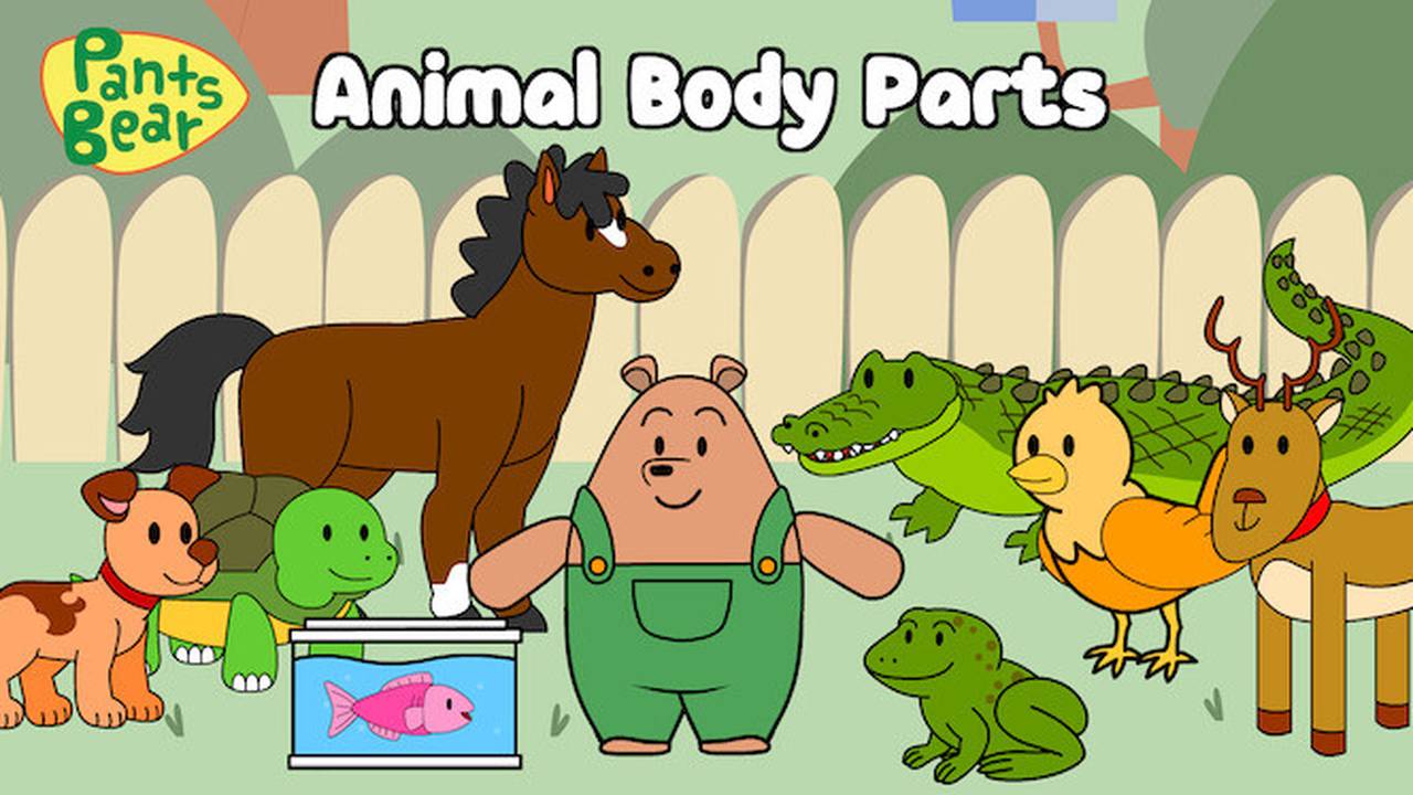 Animal Body Parts | Bagian Tubuh Hewan | Vidio