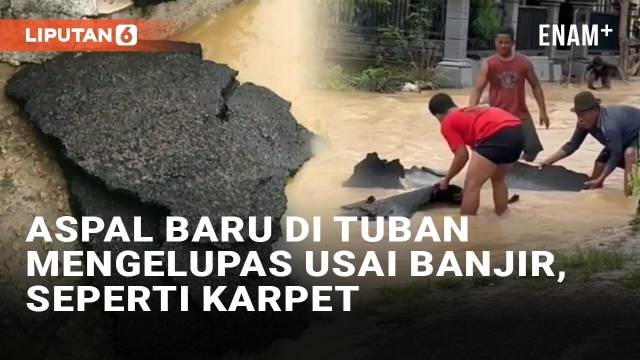 Nonton Koleksi Viral Hari Ini 2025 | Vidio