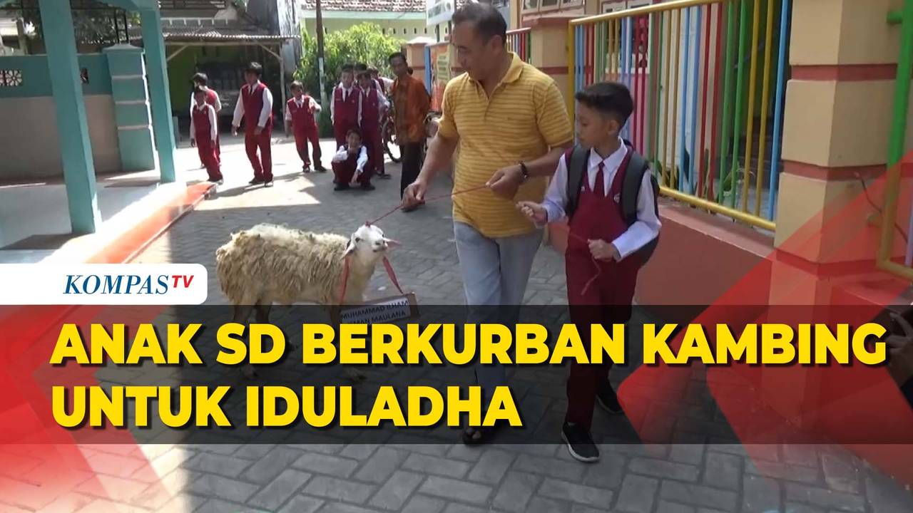 Anak Kelas 5 SD Beli Kambing Kurban Pakai Uang Tabungan - Kompas TV