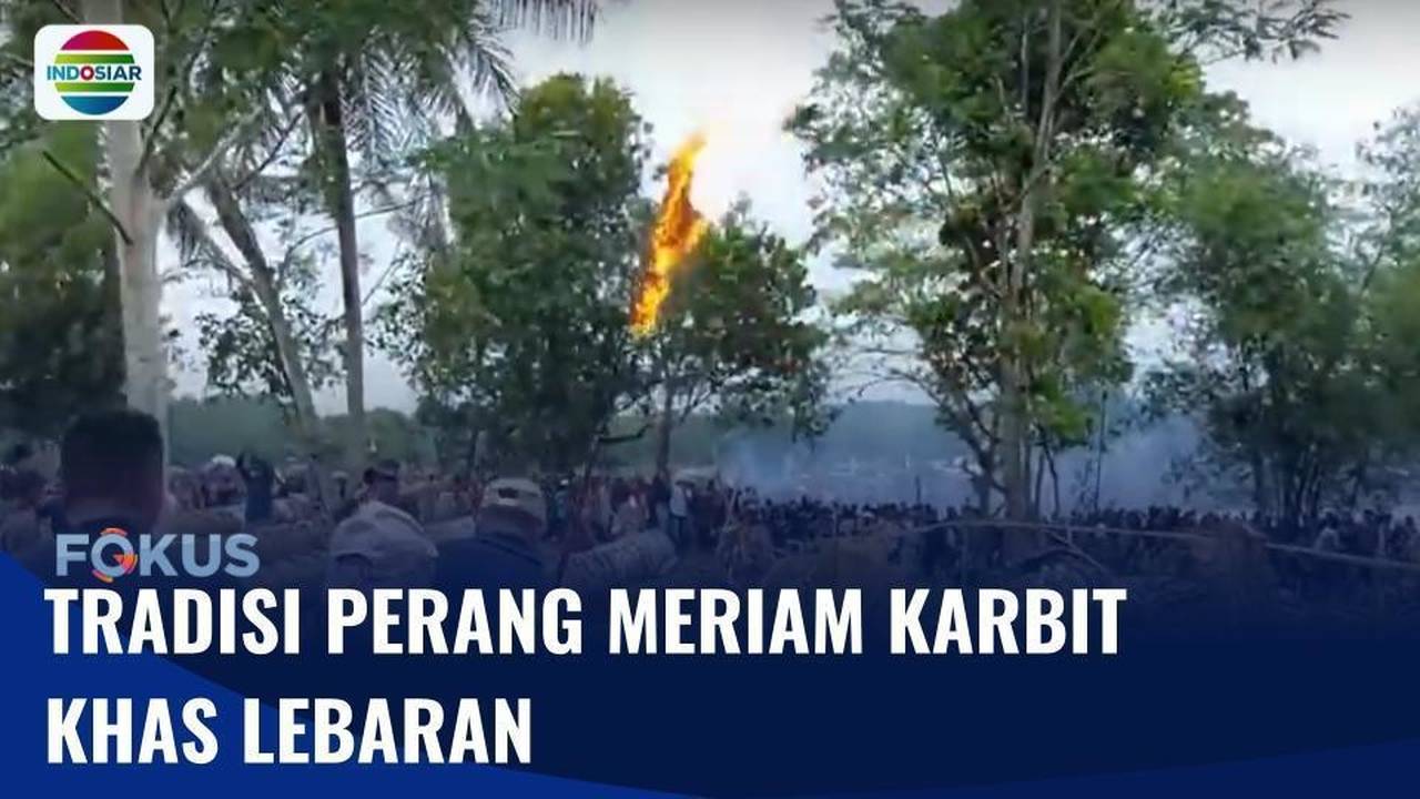 Tradisi Perang Meriam Karbit di Bogor | Fokus - INDOSIAR | Vidio
