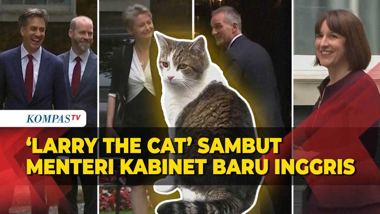 Larry The Cat Sambut Para Menteri di Kabinet Baru PM Inggris Keir ...
