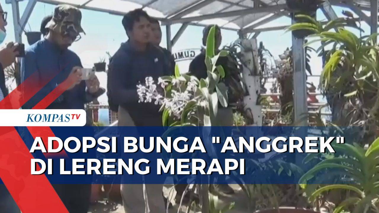 Rumah Anggrek, Potensi Wisata Baru di Lereng Merapi - Kompas TV