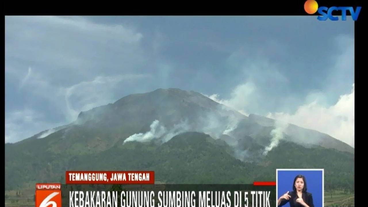 Kebakaran Lahan Di Gunung Sumbing Kini Capai 5 Titik Liputan6 Siang