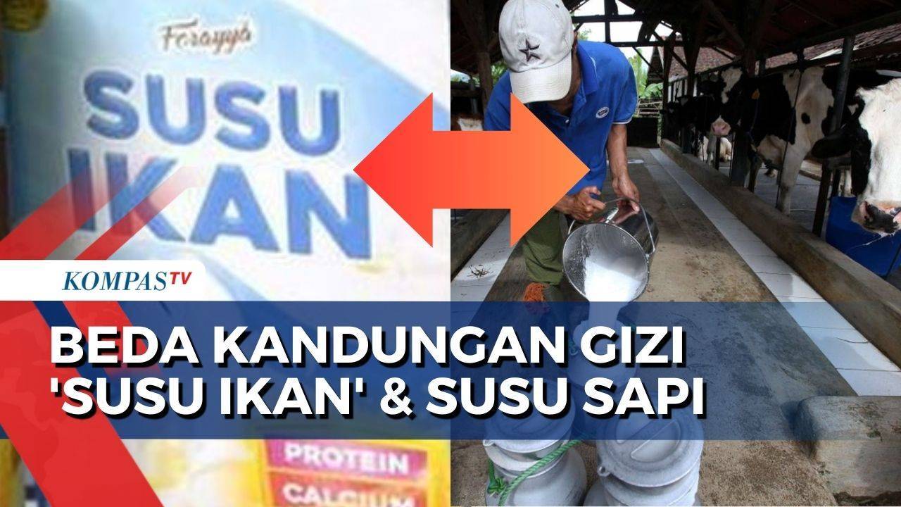 Menilik Perbandingan Kandungan Gizi Antara 'Susu Ikan' dan Susu Sapi ...