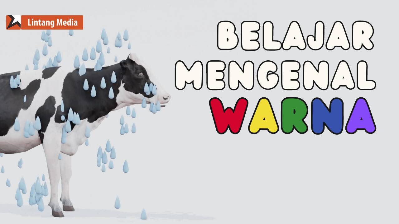 Belajar Warna dan Mengenal Suara Hewan - Sapi Warna Warni