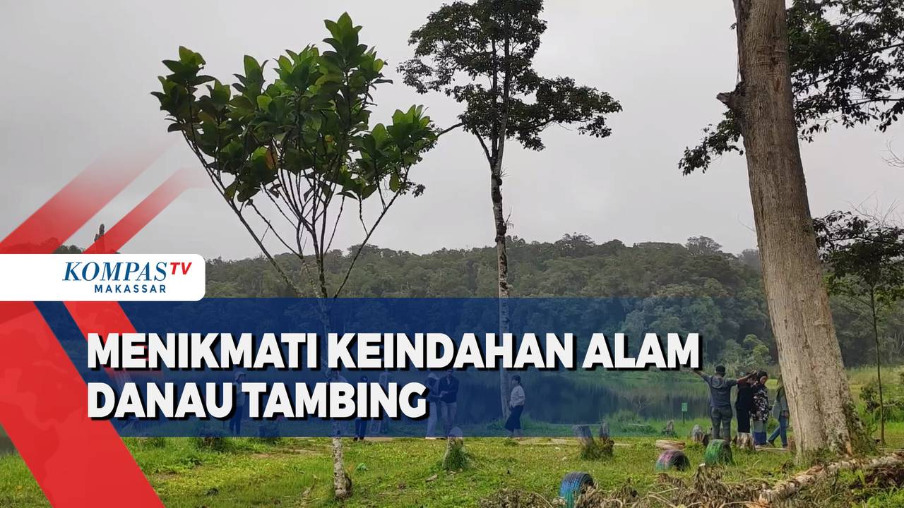 Menikmati Keindahan Alam Danau Tambing - Kompas TV | Vidio