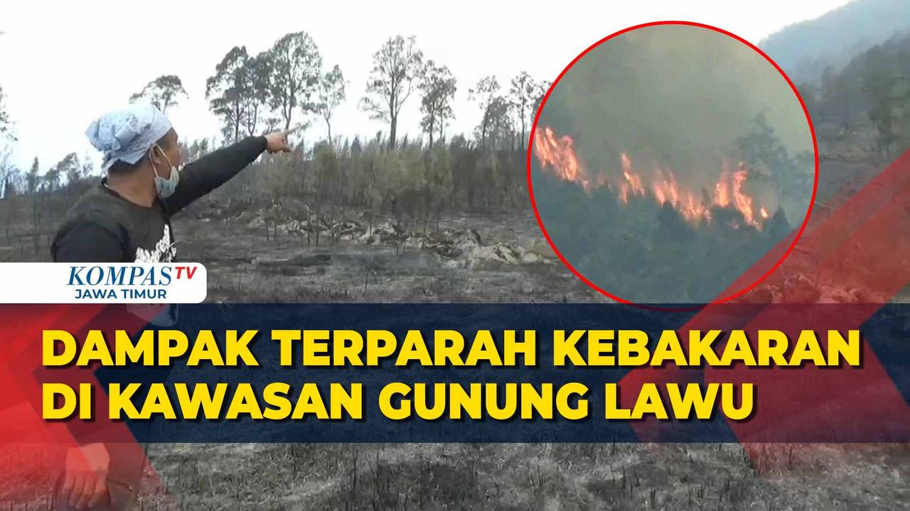 Terbaru Kebakaran Hutan Di Kawasan Gunung Lawu Ngawi Kini Meluas