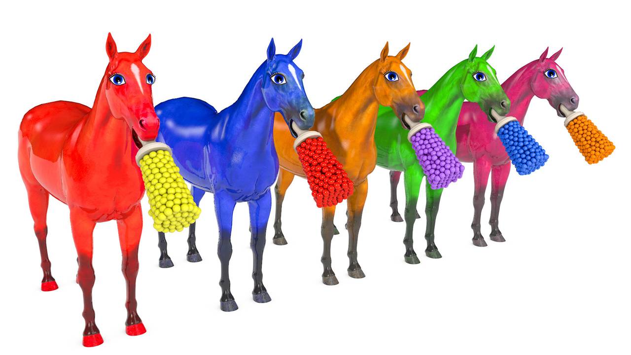 Kuda belajar warna | Vidio