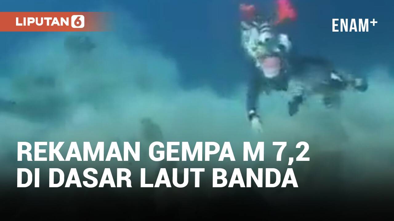 Langka! Penyelam Abadikan Momen Gempa Magnitudo 7,2 di Dasar Laut Banda ...