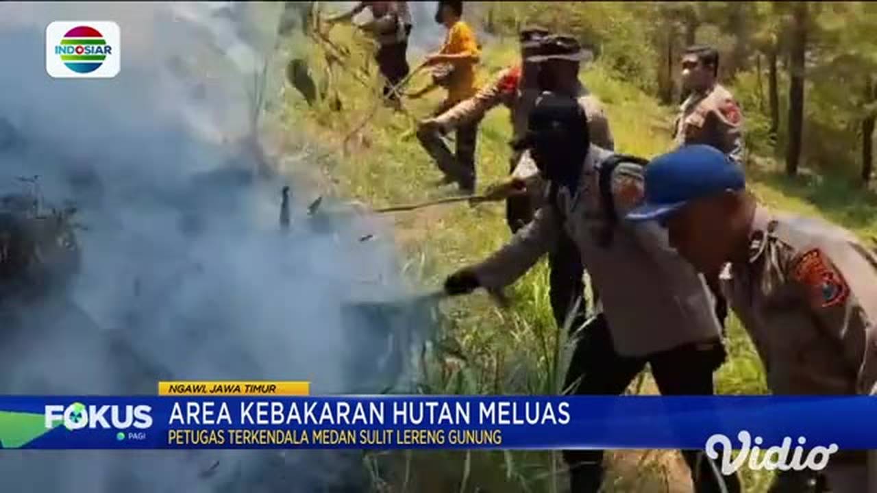 Area Kebakaran Hutan Di Lereng Gunung Lawu Kian Meluas Indosiar