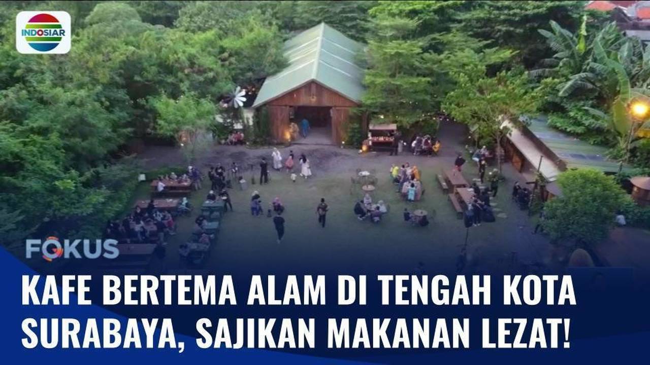 Kafe Bertema Alam di Tengah Kota Pahlawan, Sajikan Suasana Asri dan Sejuk! | Fokus - INDOSIAR ...