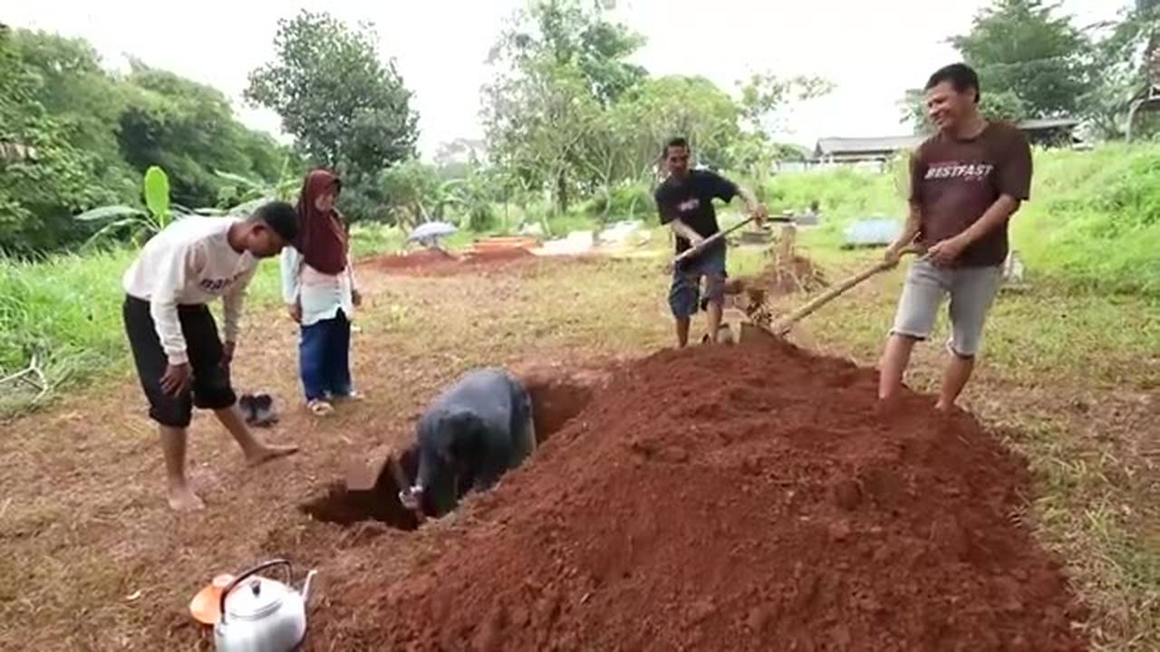PENGGALI KUBUR!! Rexy Rizky mencoba membantu pekerjaan dan menjadi mereka | Vidio