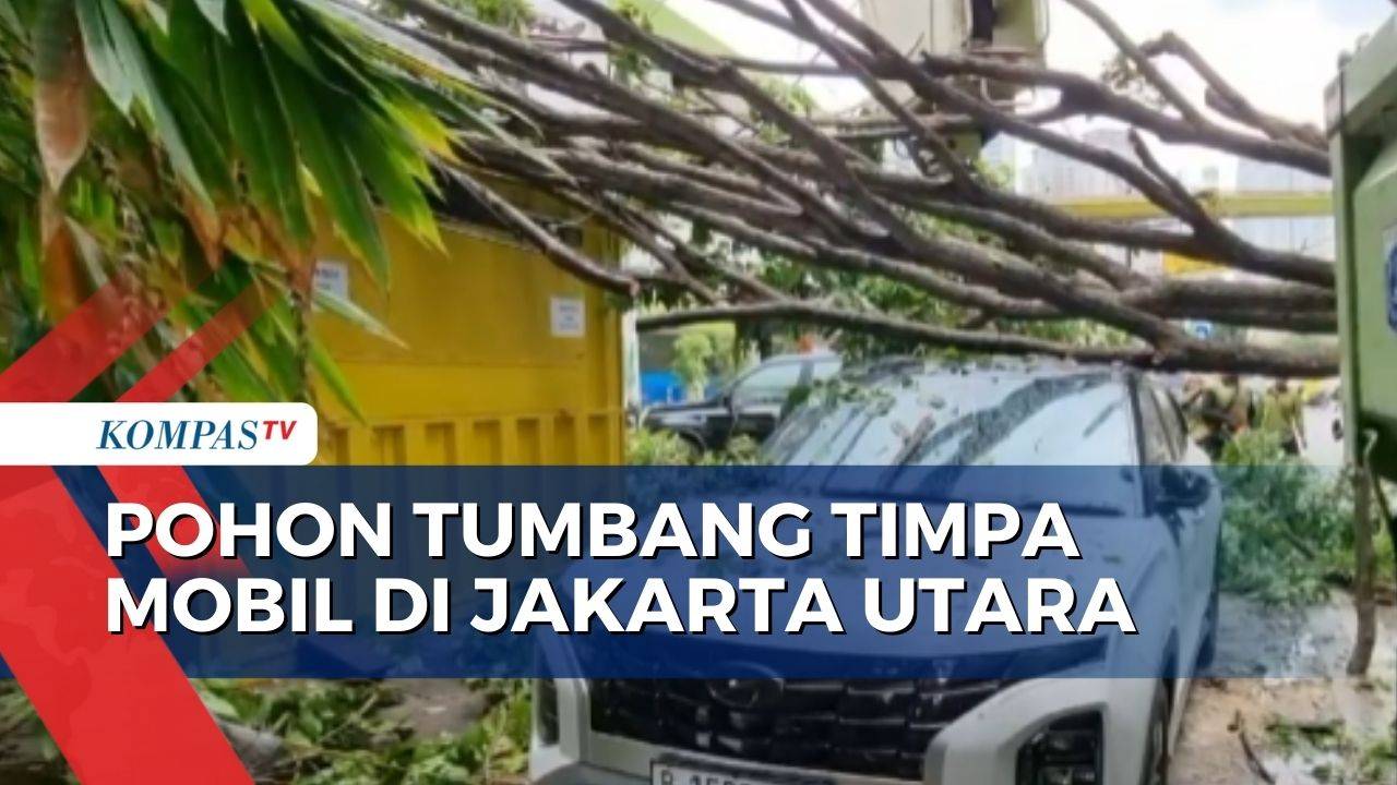 Pohon Tumbang di Kawasan Sunter Barat, Timpa Mobil dan Robohkan Sejumlah Tiang Listrik! - Kompas TV