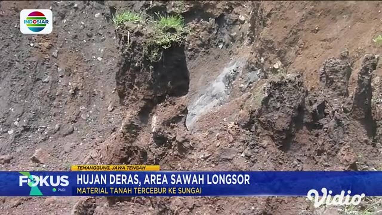 Lahan Persawahan Longsor - Indosiar Regional