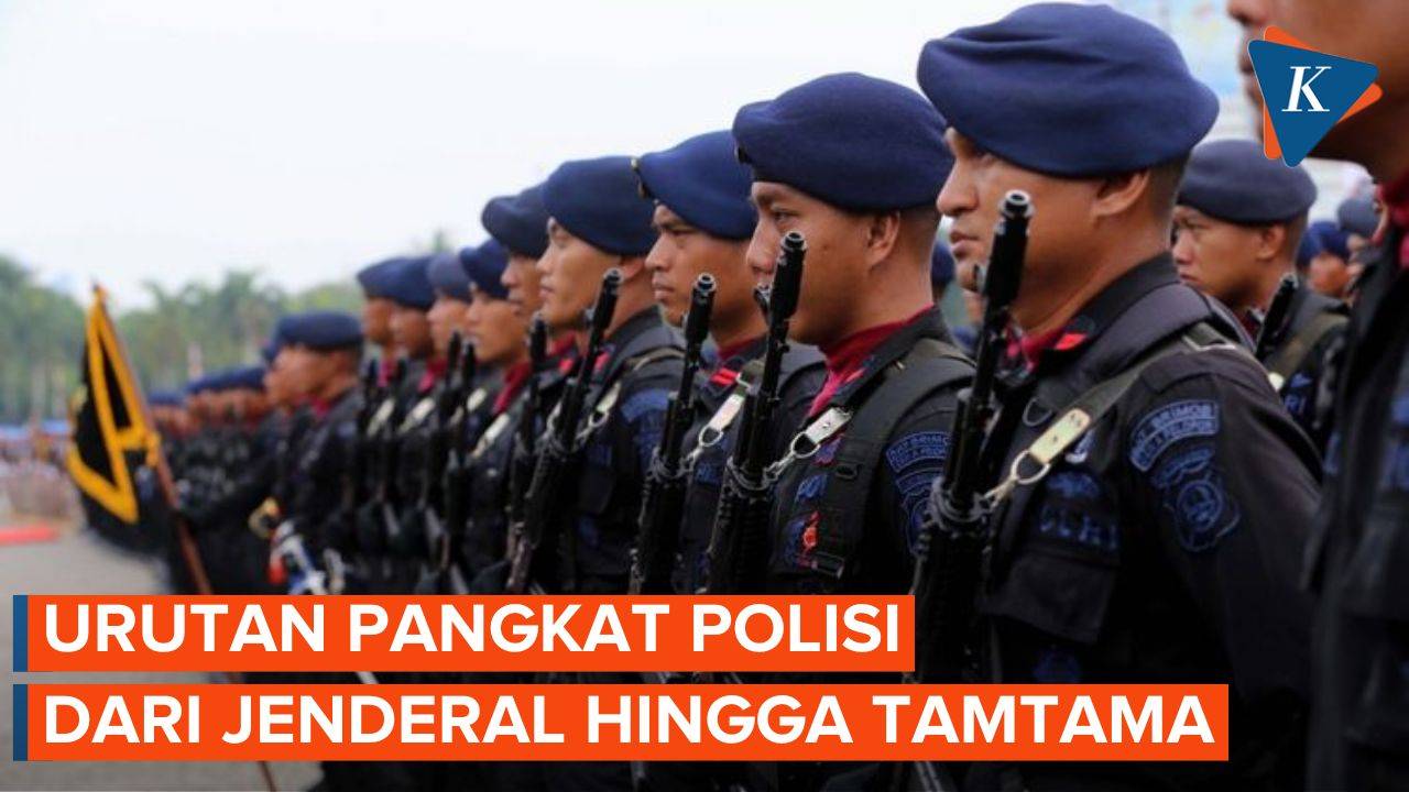 Urutan Pangkat Polisi dari Jenderal Bintang 4, AKBP, hingga Bharada ...