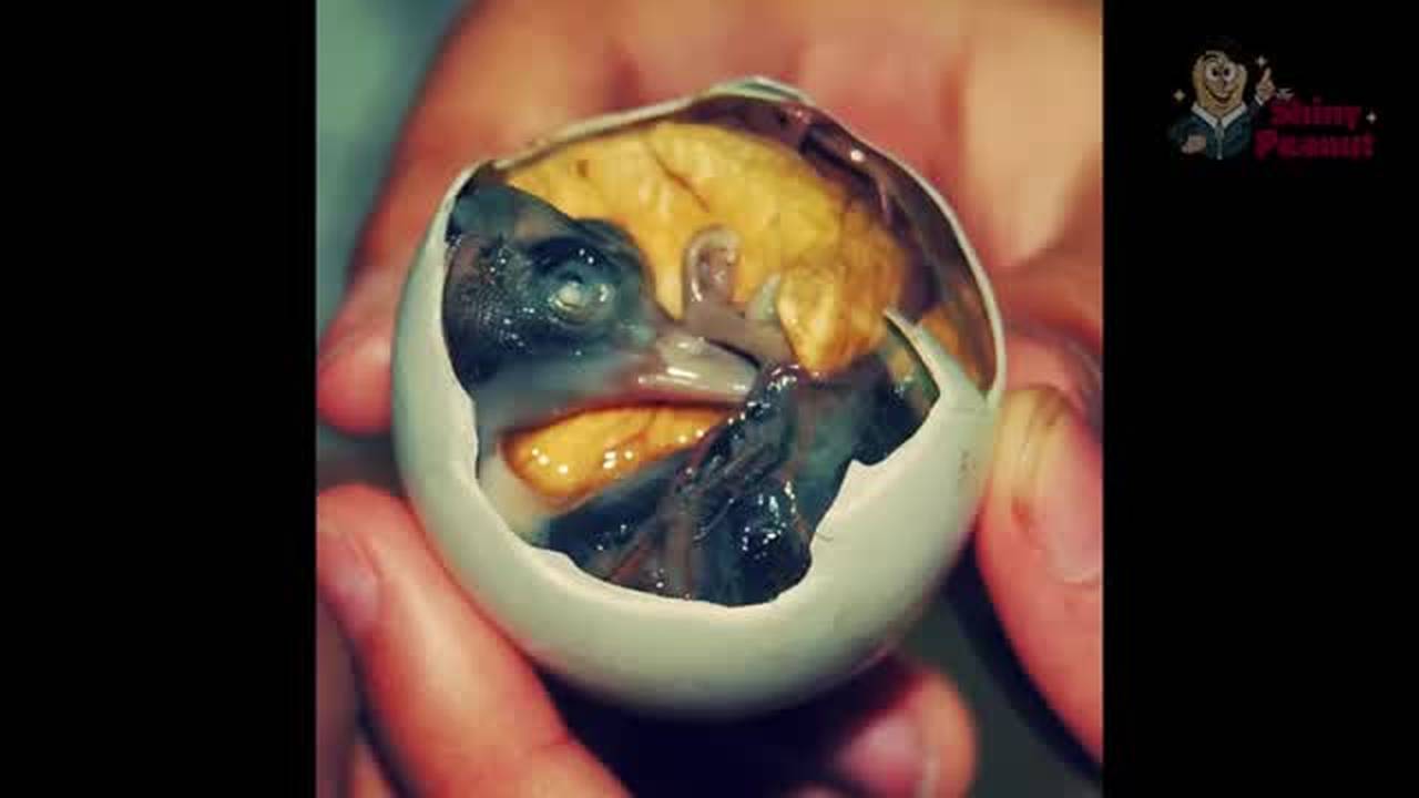 TOP 5 Makanan Ter Extreme di Dunia! Dari Tarantula Sampe Kodok Hidup ...