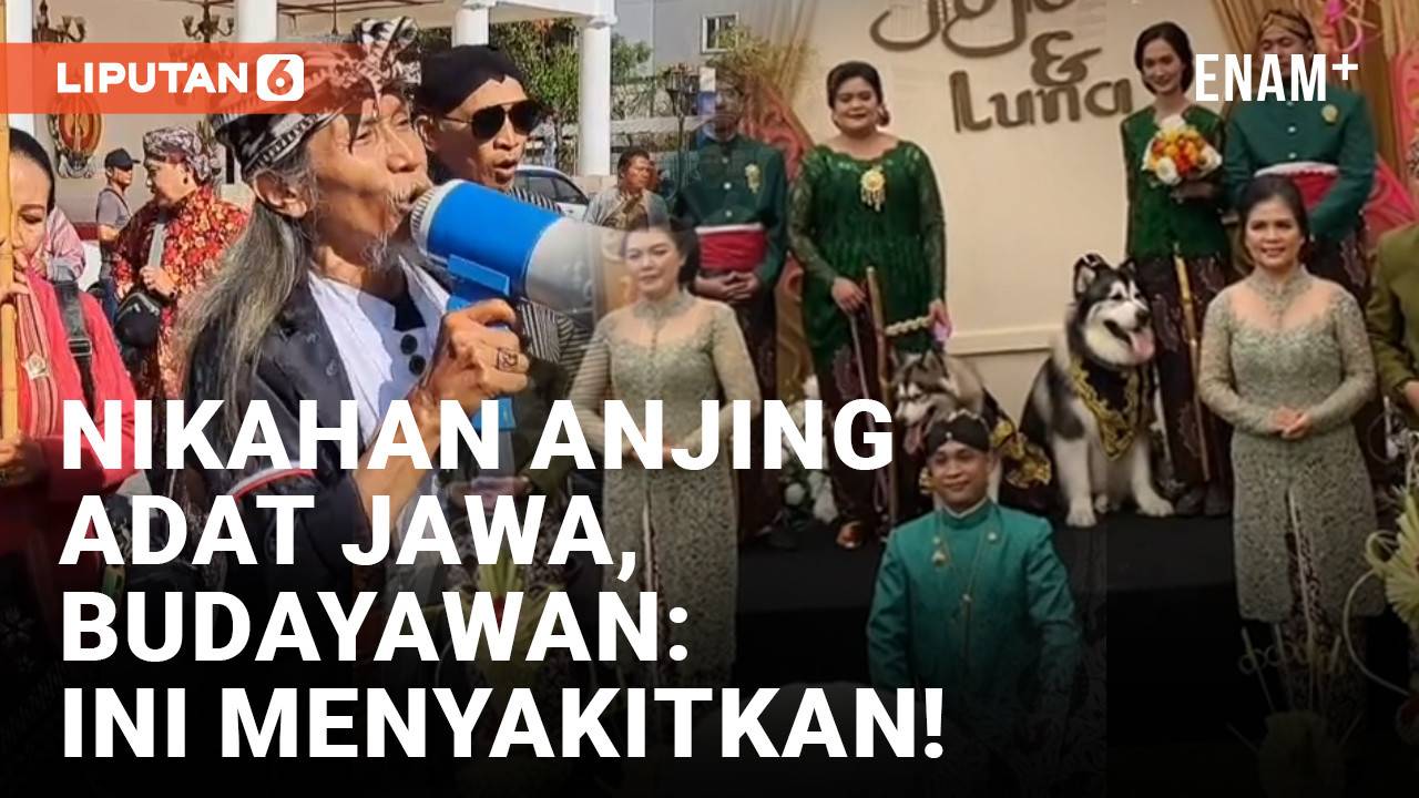Penggiat Budaya di Yogyakarta Kecam Nikahan Anjing Viral Pakai Adat ...